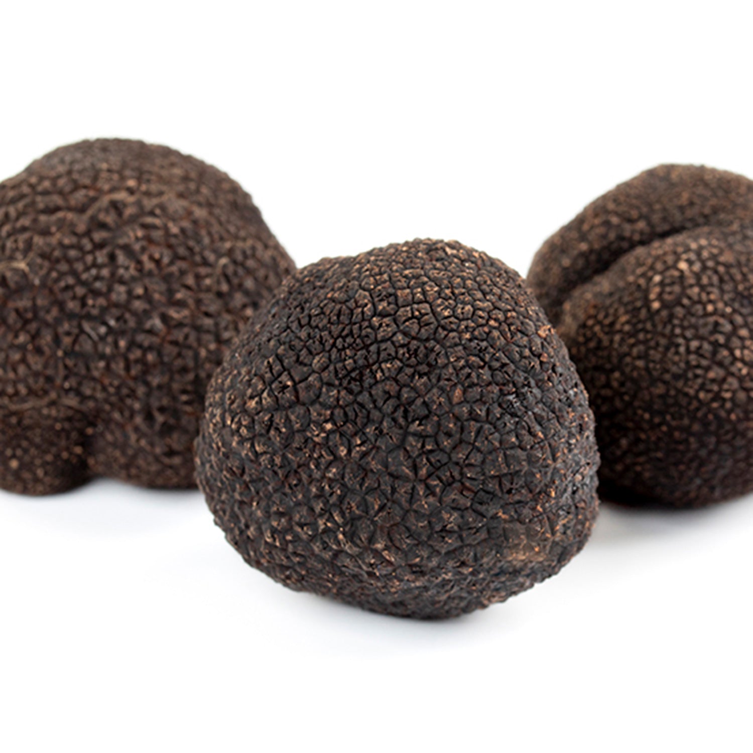 Truffe Noire Melanosporum - Acheter Truffes Fraîches – LAUMONT FRANCE